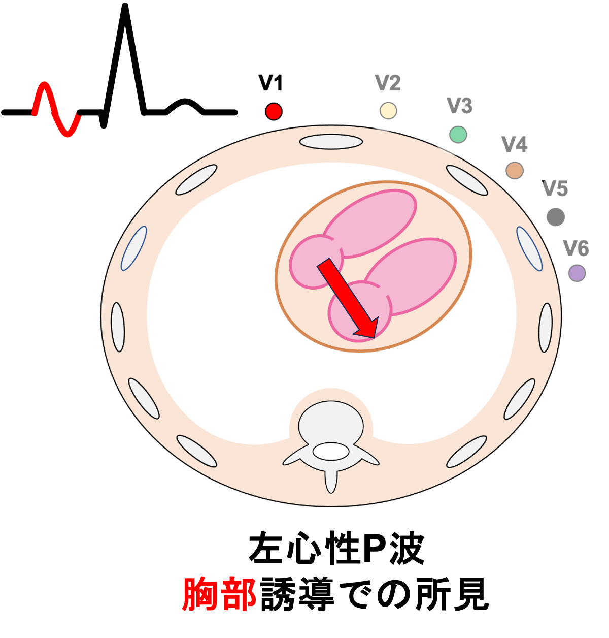 P terminal forceとは？ | 心電図.com