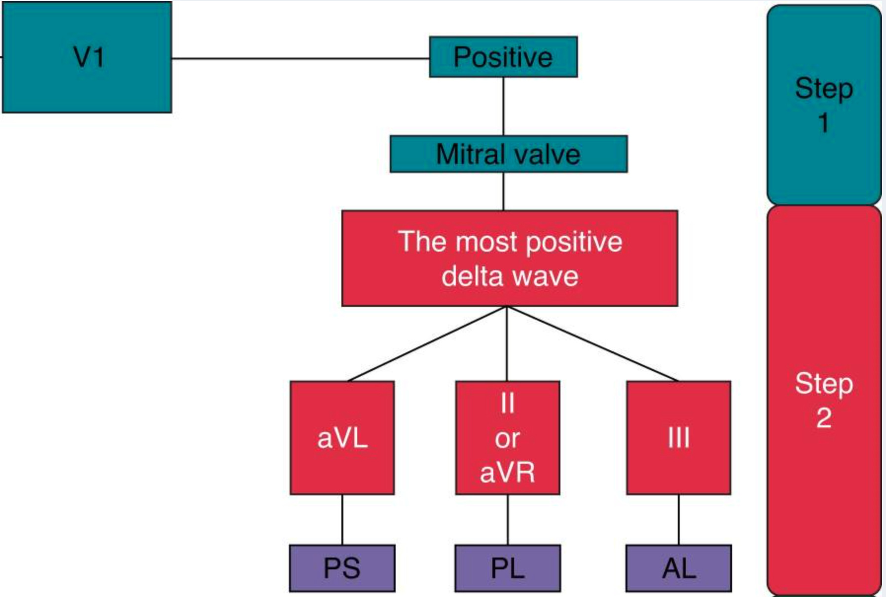 EASY-WPWとは? | 心電図.com