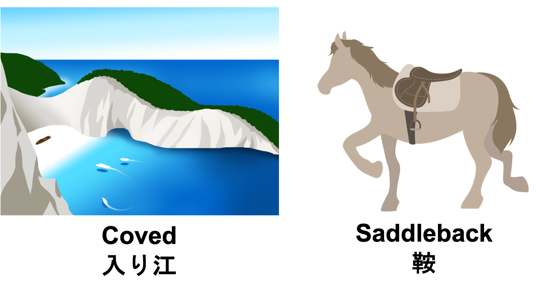 ブルガダ症候群とは？ | 心電図.com